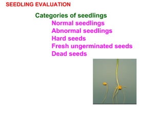 Seed testing in pulses and oilseeds | PPT | Agriculture | Industries