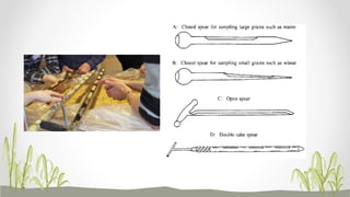 Seed testing and sampling | PPTX