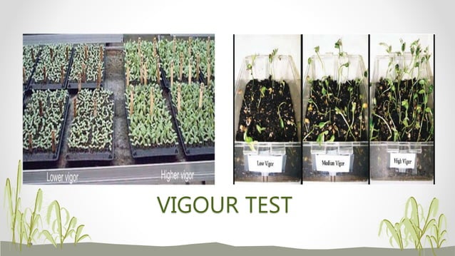 Seed testing and sampling | PPTX