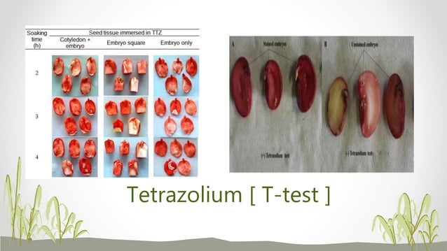 Seed testing and sampling | PPTX