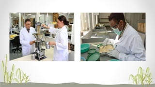 Seed testing and sampling | PPTX