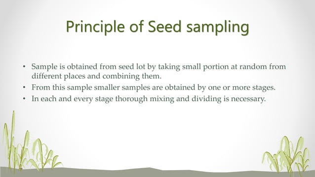 Seed testing and sampling | PPTX