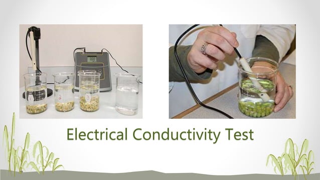 Seed testing and sampling