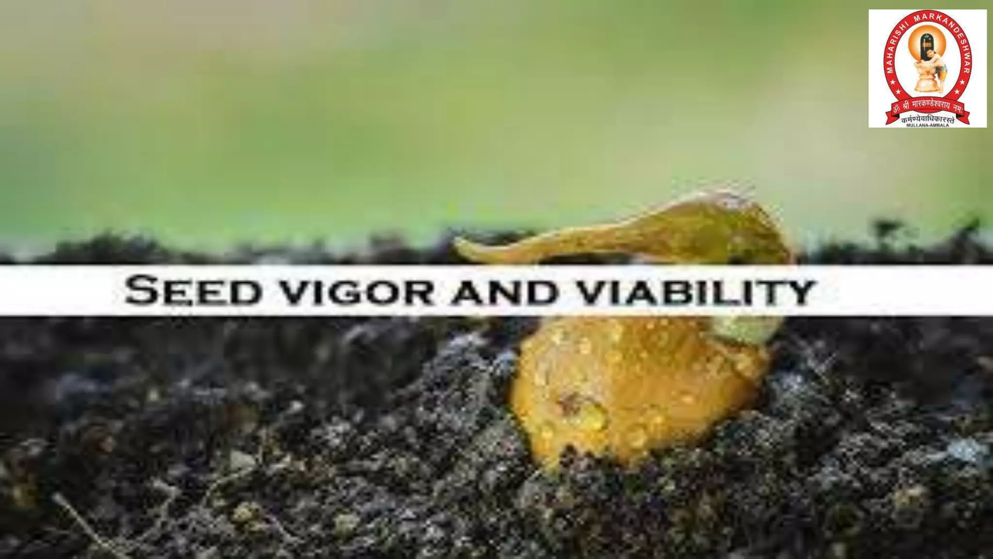 Seed testing-Vigour and Viability.pptx
