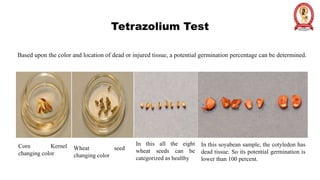 Seed testing-Vigour and Viability.pptx