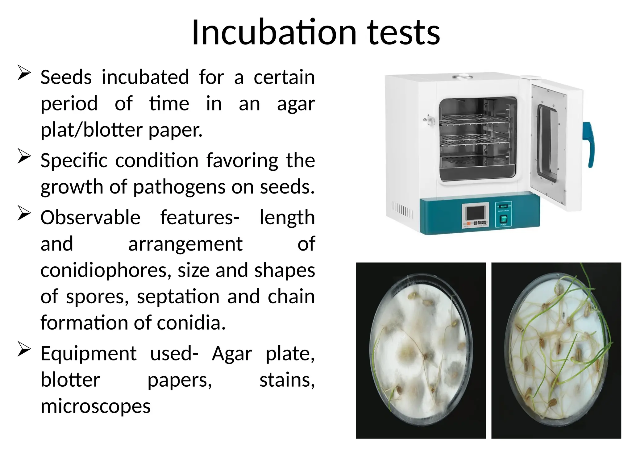 SEED TESTING AND DETECTION METHODS FOR SEED BORNE.pptx