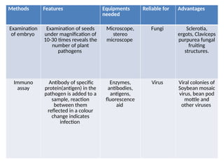 SEED TESTING AND DETECTION METHODS FOR SEED BORNE.pptx
