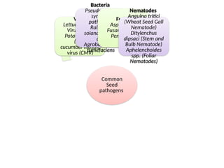 SEED TESTING AND DETECTION METHODS FOR SEED BORNE.pptx