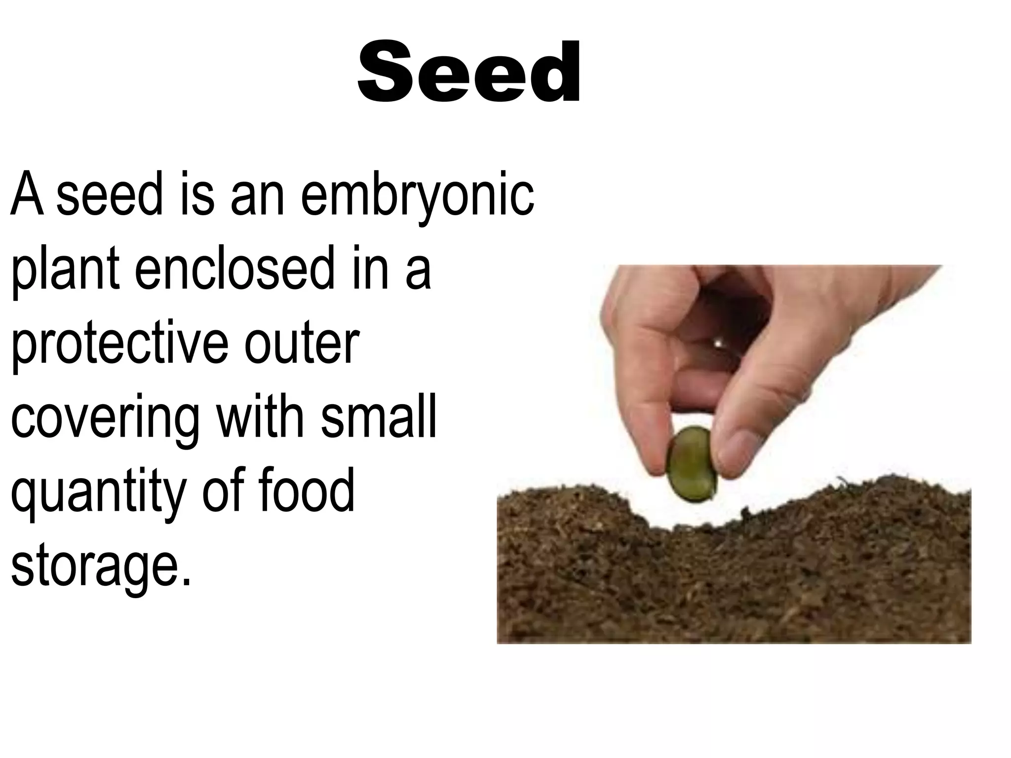 Seed testing equipments | PPTX