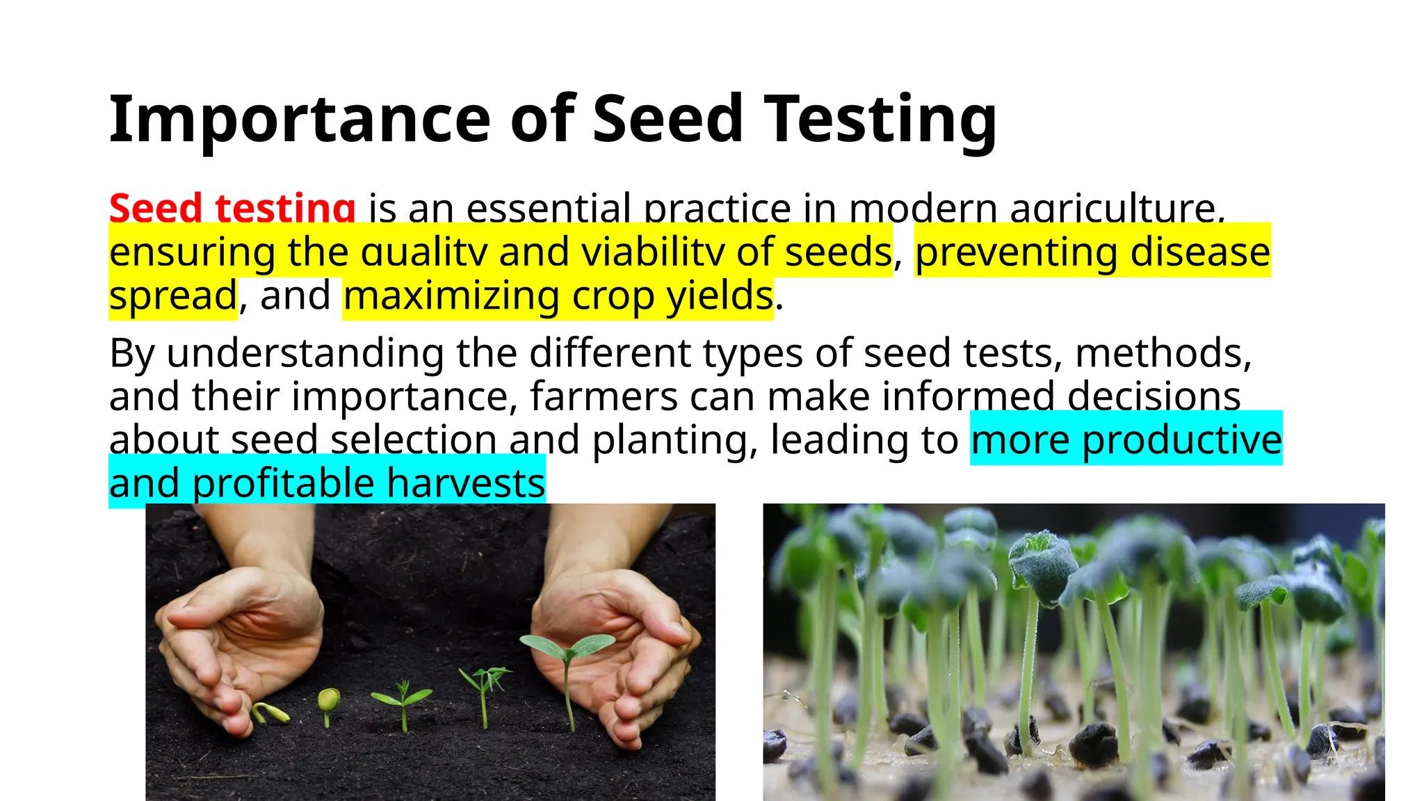 Seed Testing for Grade 12 students. PPts | PPT