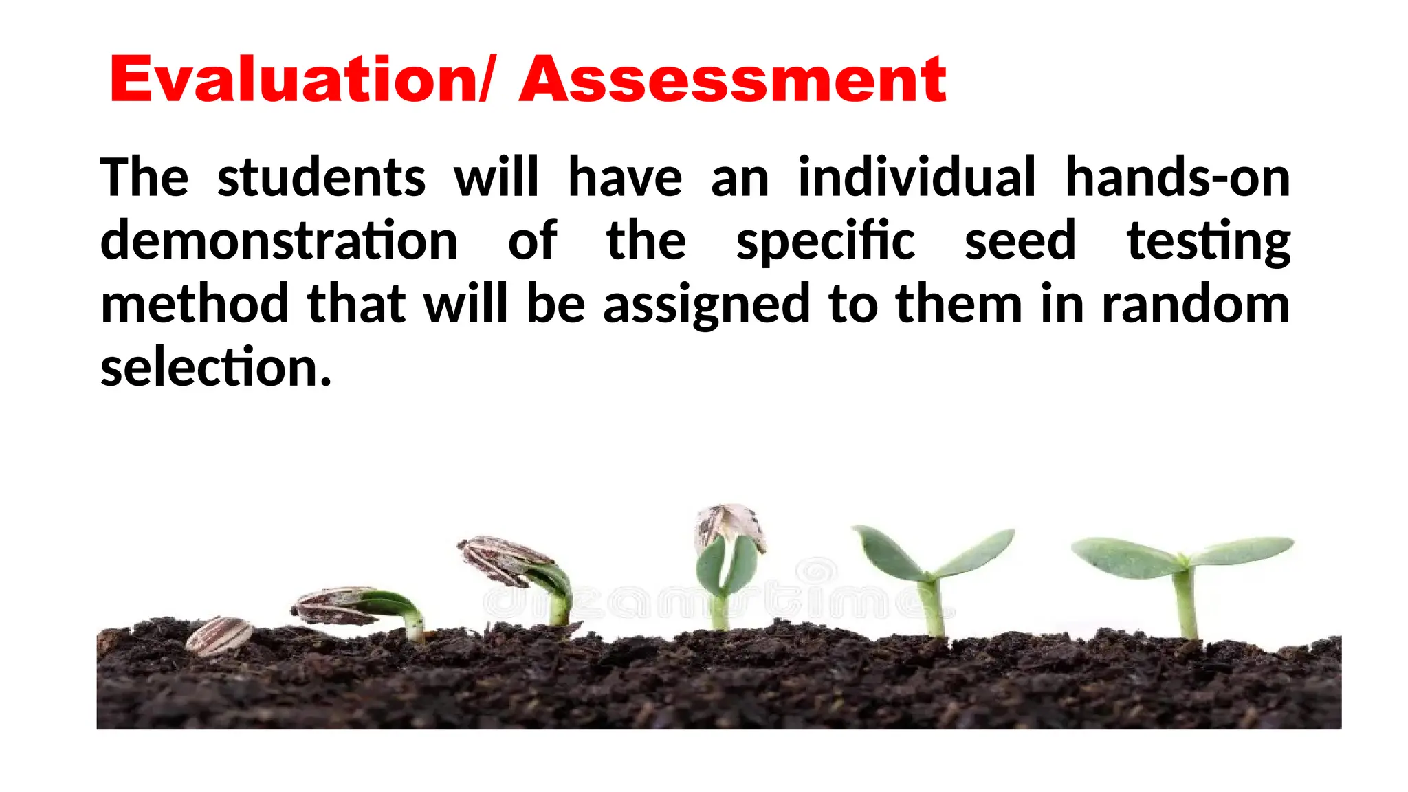 Seed Testing for Grade 12 students. PPts | PPT