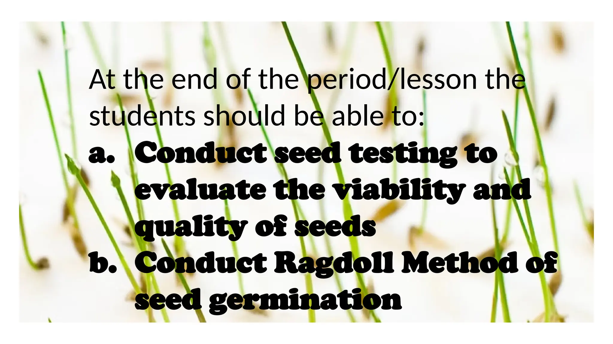 Seed Testing for Grade 12 students. PPts | PPT