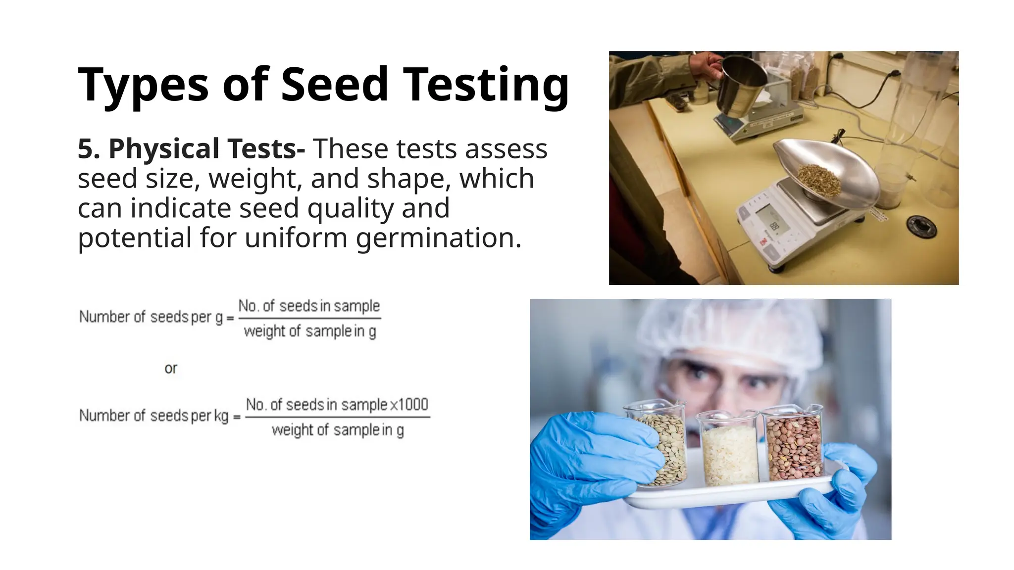 Seed Testing for Grade 12 students. PPts | PPT