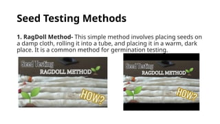 Seed Testing for Grade 12 students. PPts | PPT