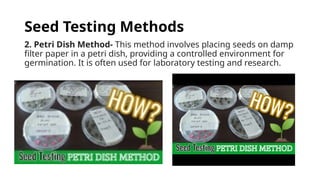 Seed Testing for Grade 12 students. PPts | PPT