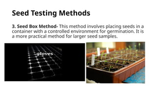 Seed Testing for Grade 12 students. PPts | PPT