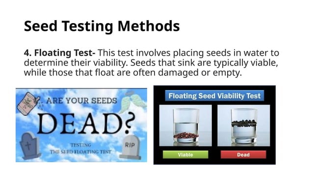 Seed Testing for Grade 12 students. PPts | PPT
