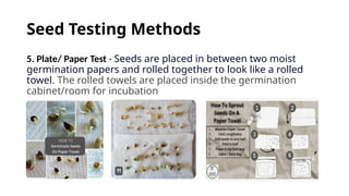 Seed Testing for Grade 12 students. PPts | PPT