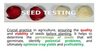 Seed Testing for Grade 12 students. PPts | PPT