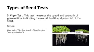 Seed Testing for Grade 12 students. PPts | PPT