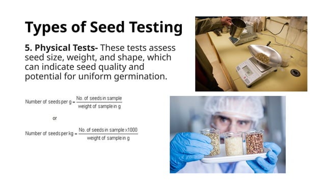 Seed Testing for Grade 12 students. PPts | PPT