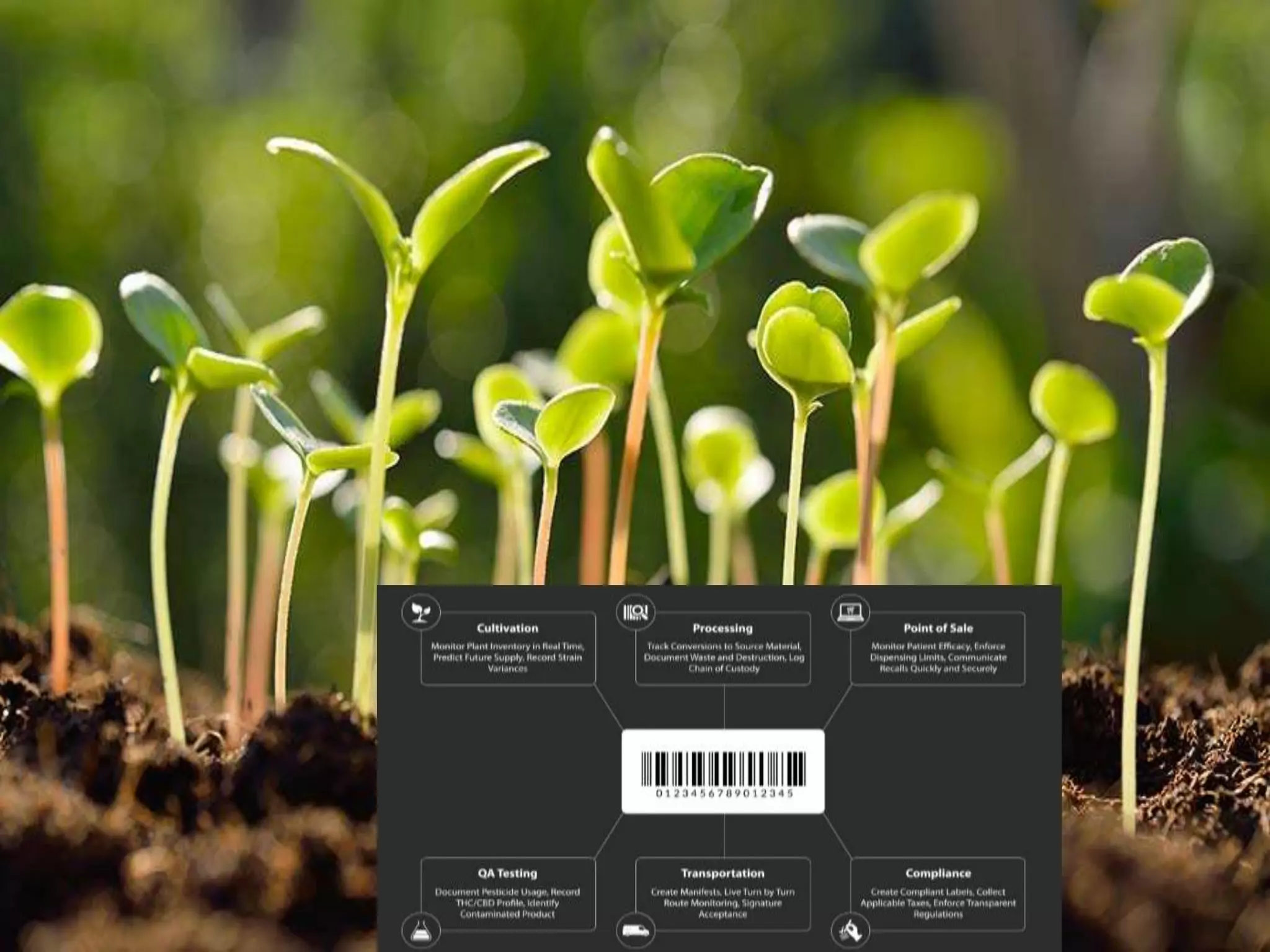 Seed tracebility | PPTX