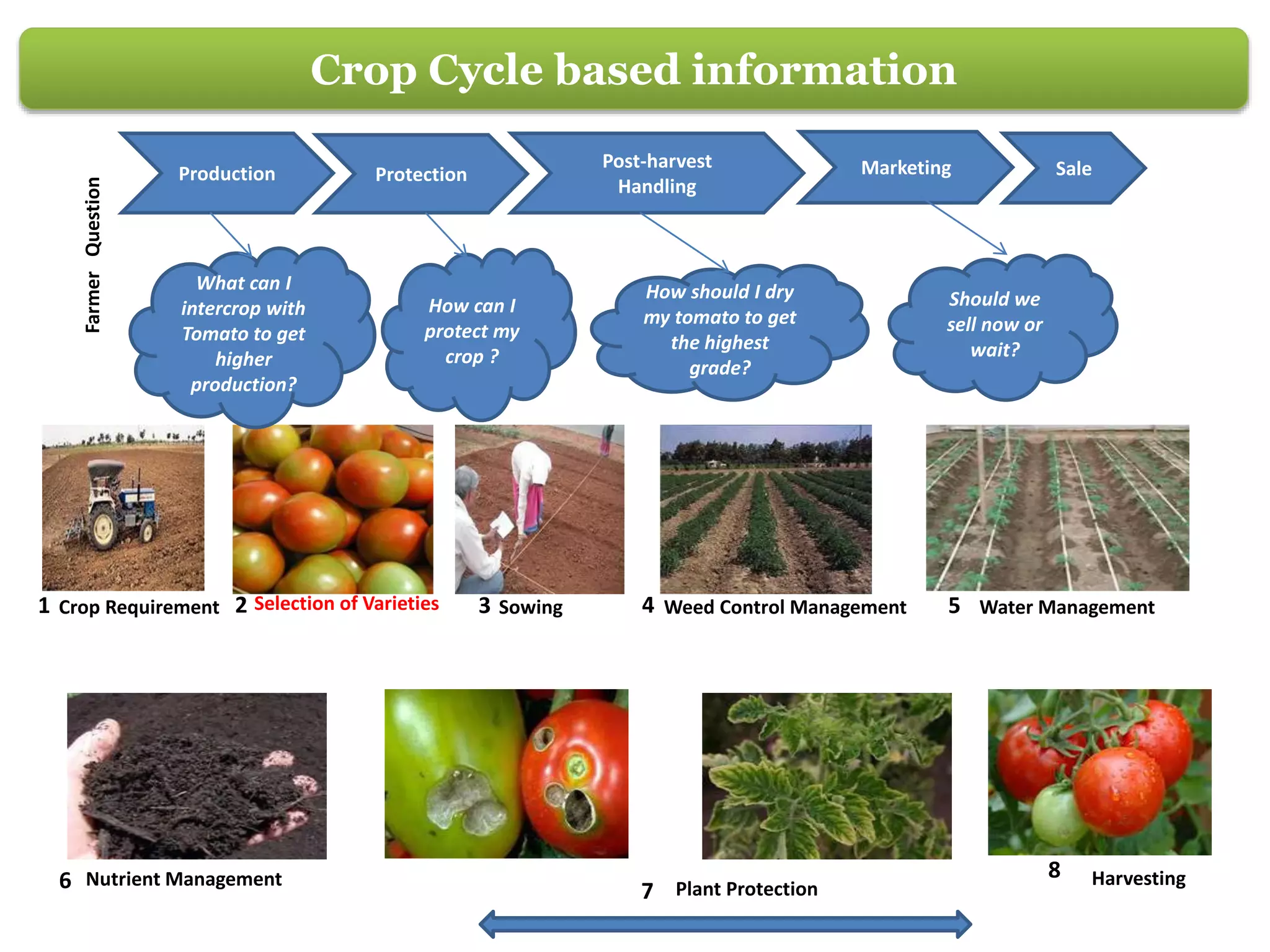 Seed tracebility | PPTX