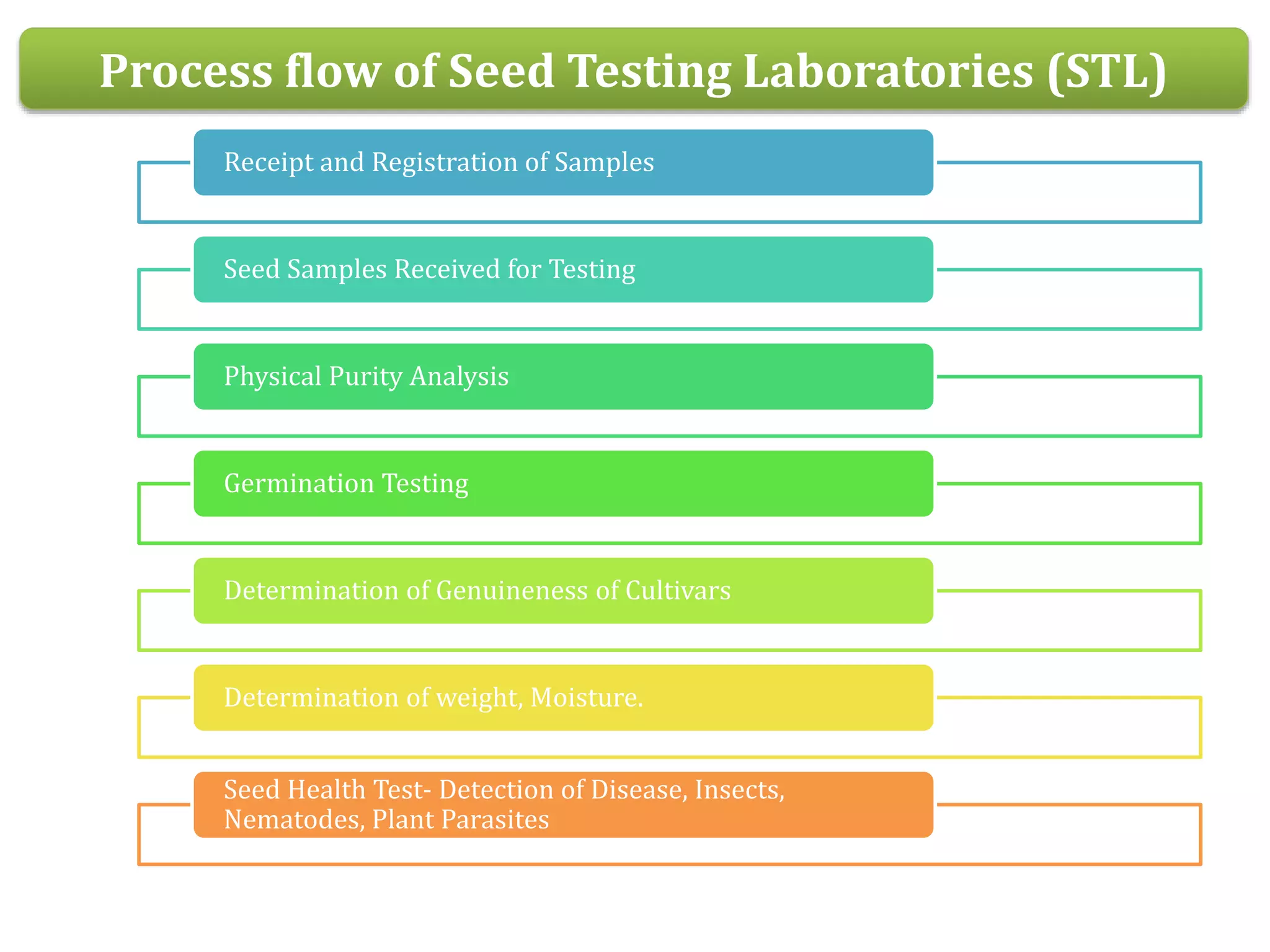 Seed tracebility | PPTX