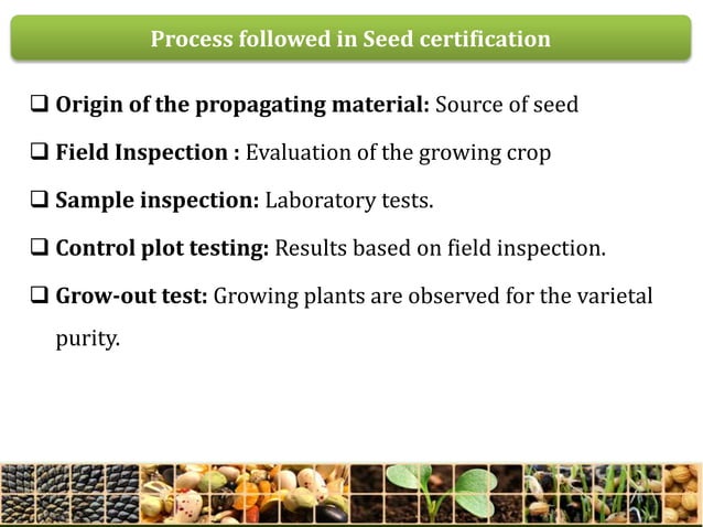 Seed tracebility | PPTX | Agriculture | Industries