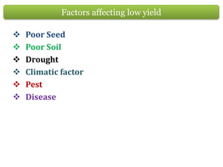 Seed tracebility | PPTX