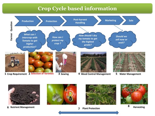 Seed tracebility | PPTX | Agriculture | Industries