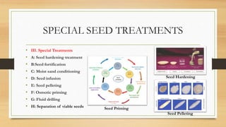 Seed Treatment.pptx
