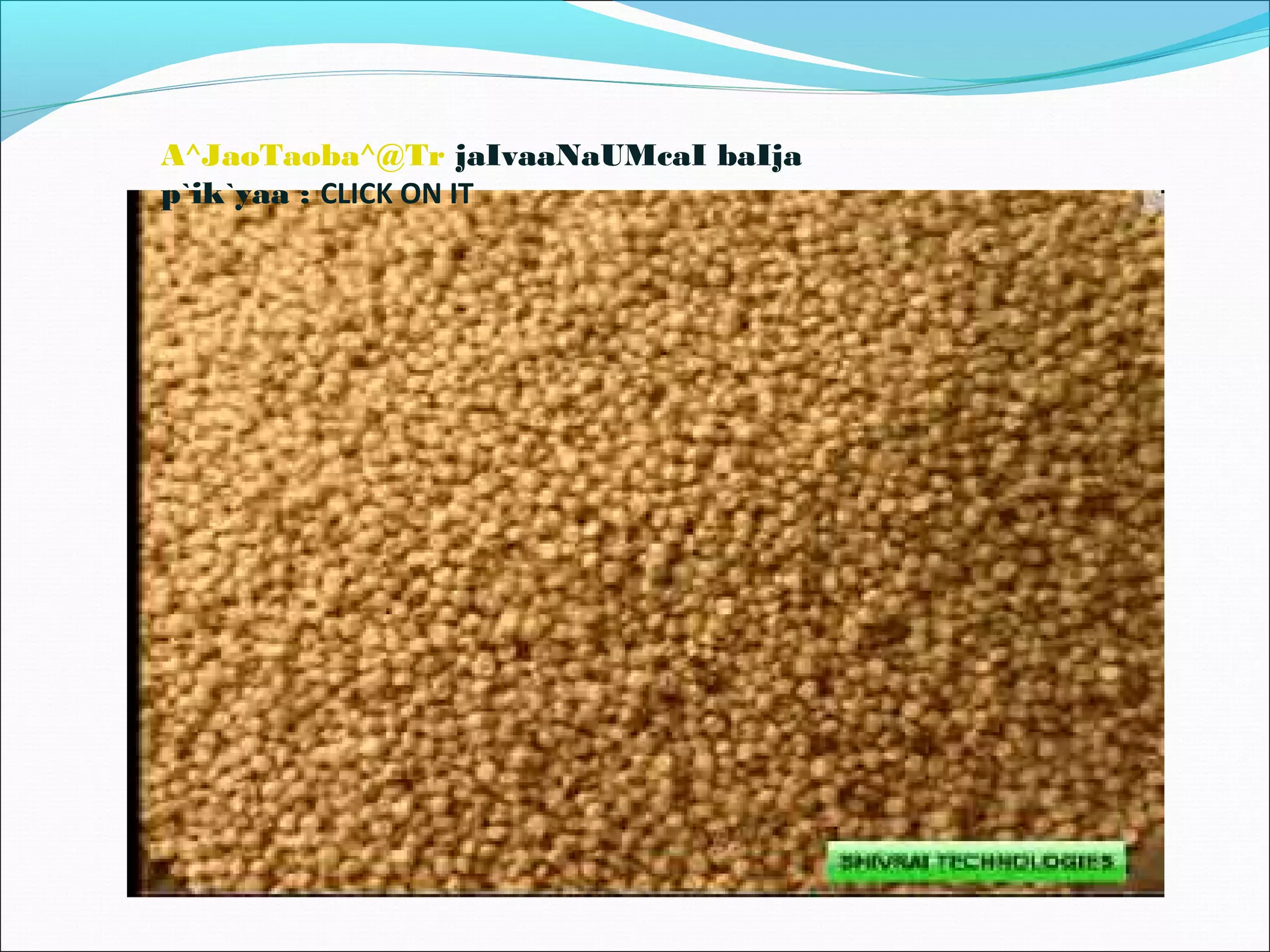 Seed treatment (marathi) | PPT