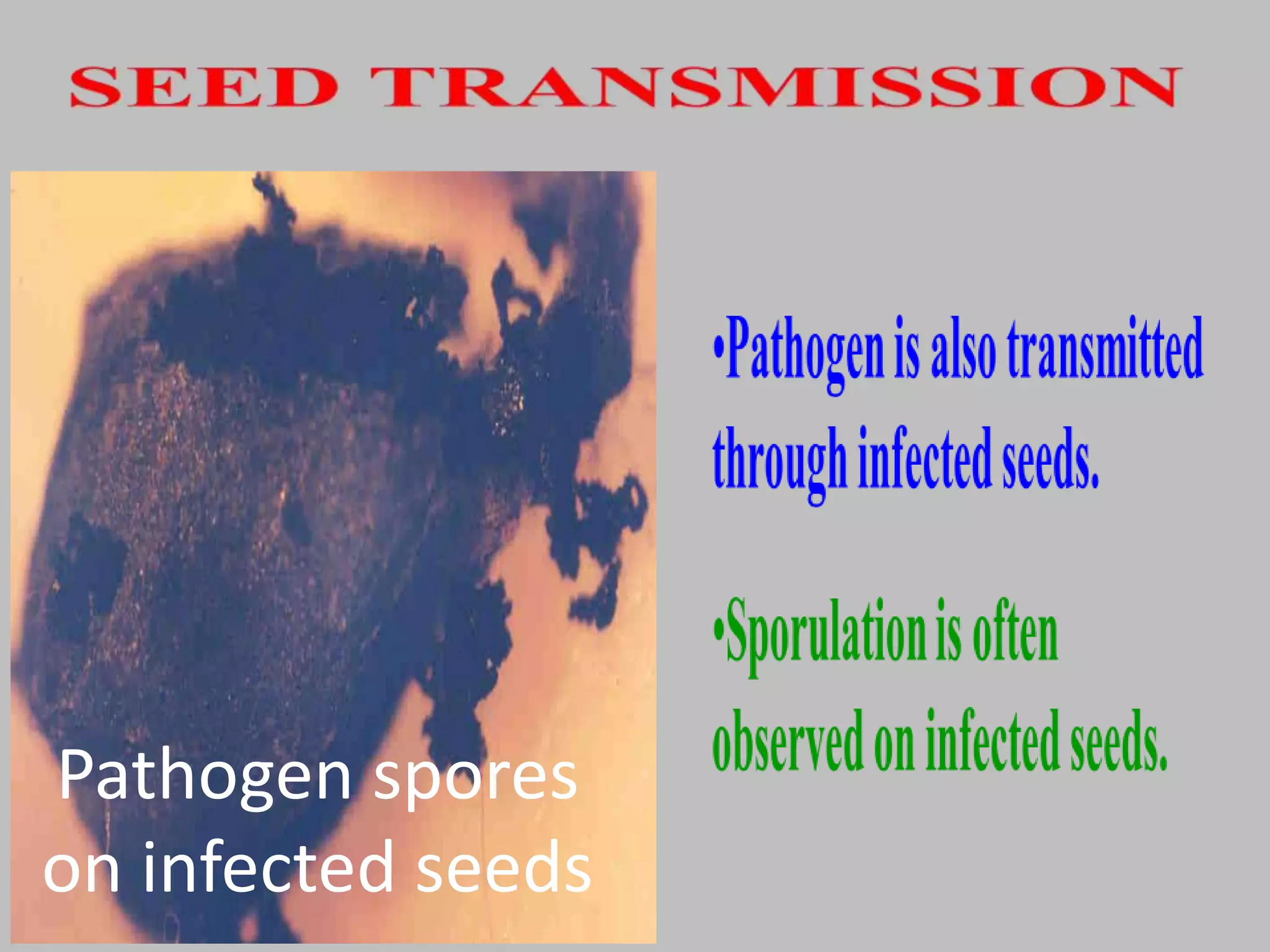 SEED TREATMENT PRACTICAL.pptx