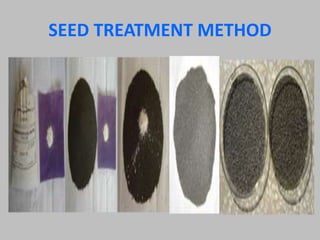 SEED TREATMENT PRACTICAL.pptx