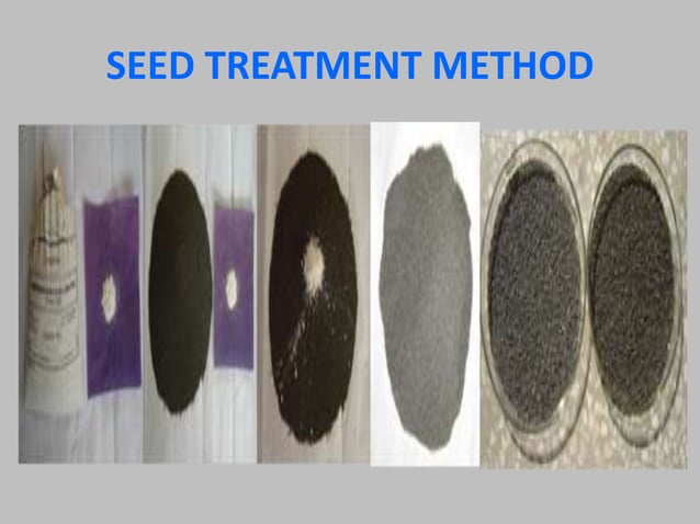 SEED TREATMENT PRACTICAL.pptx