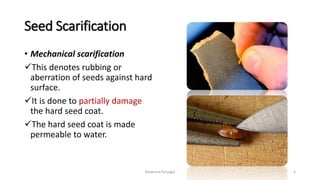 Seed treatments | PDF