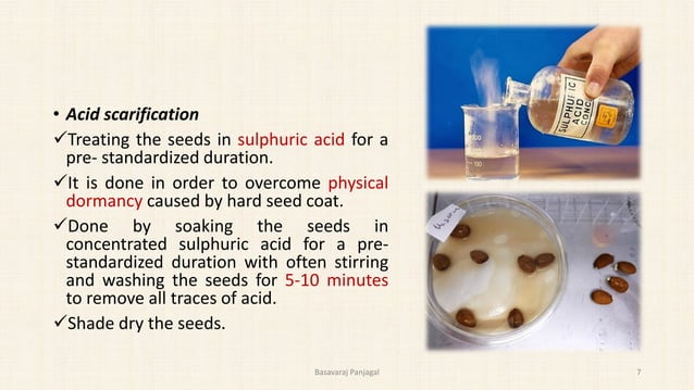 Seed treatments | PDF | Gardening | Home & Garden