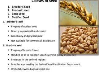 Seed types and seed quality A Lecture By Mr Allah Dad Khan Visiting ...