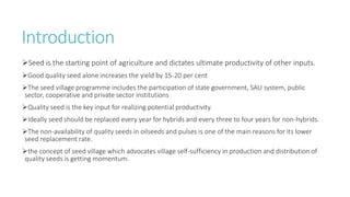 Seed village ppt | PPTX