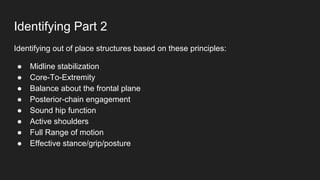 Seeing and Correcting | PDF