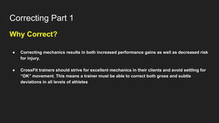 Seeing and Correcting | PDF