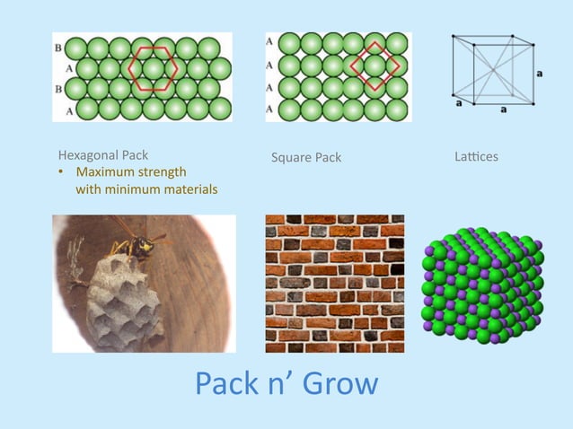 Seeing Math Patterns in Nature | PDF