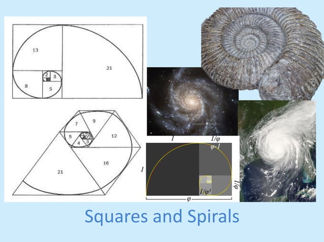 Seeing Math Patterns in Nature | PPT