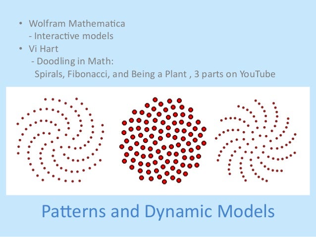 Seeing Math Patterns in Nature