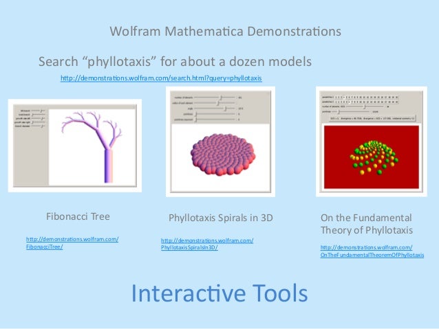 Seeing Math Patterns in Nature