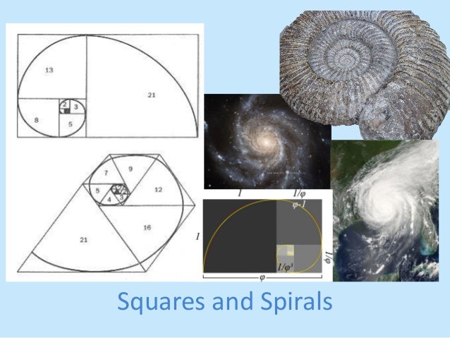 Seeing Math Patterns in Nature