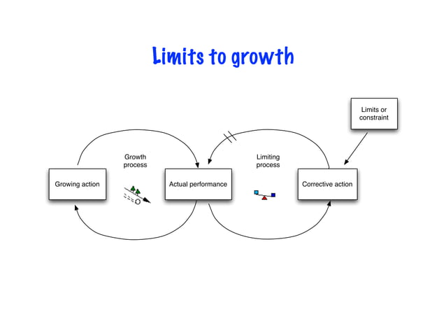 Seeing system patterns in organizational coaching | PDF