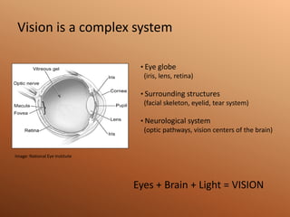 Seeing things our way | PDF