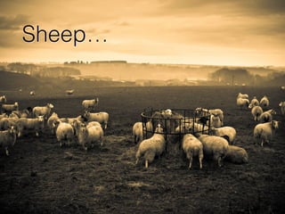 Seeking Hyper Productivity | PPT